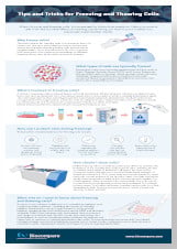 Infographic: Tips and Tricks for Freezing and Thawing Cells ...