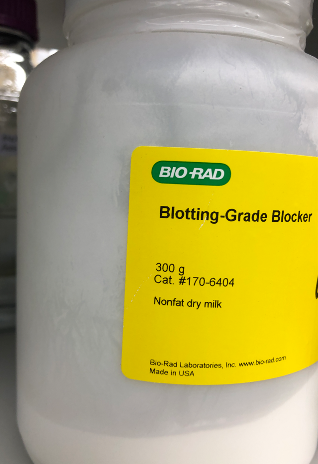 Good Blotting-Grade Blocker for Western Blot | Biocompare Product Review.