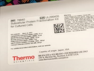 Excellent Kit to Get Protein Fractions from Cells | Biocompare.com Kit ...