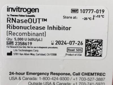 Effective RNaseOUT for qPCR | Biocompare.com Kit/Reagent Review