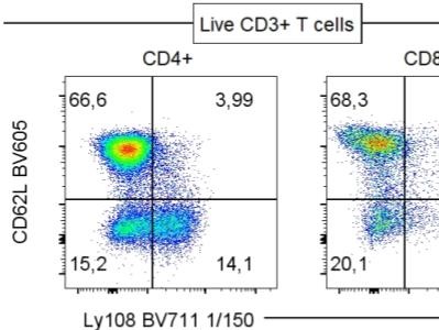 Valid Option to Stain for Ly108 | Biocompare Antibody Review
