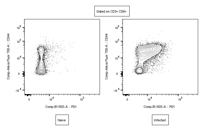 Great Antibody to Detect PD-1 on T Cells | Biocompare Antibody Review