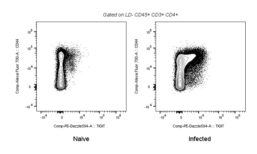 Good Antibody to Detect TIGIT on T Cells | Biocompare Antibody Review