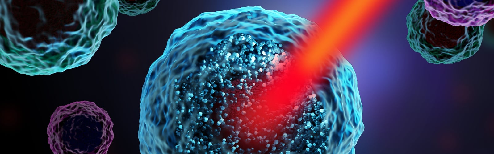 In situ analysis of cells in their true context | Biocompare.com