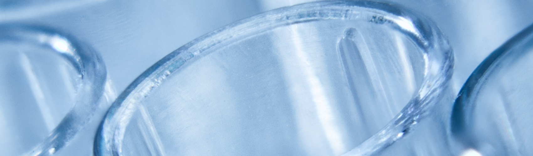 Overcoming Challenges Of Anti Drug Antibody Ada Assays Using Single