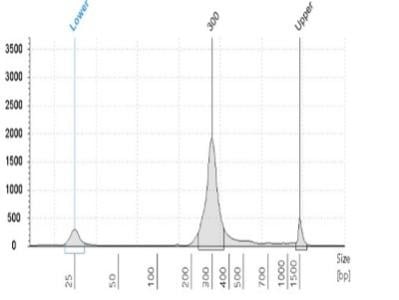 Tapestation: The Fastest and Easiest Option for your Sample QC ...