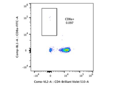 Antibody Depletes CD8+ T Cells Well | Biocompare Antibody Review
