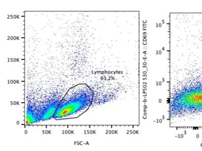 Reliable Anti-Mouse CD3 PE for Flow Cytometry | Biocompare Antibody Review