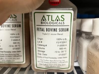 Great FBS for Cell Culture | Biocompare.com Kit/Reagent Review