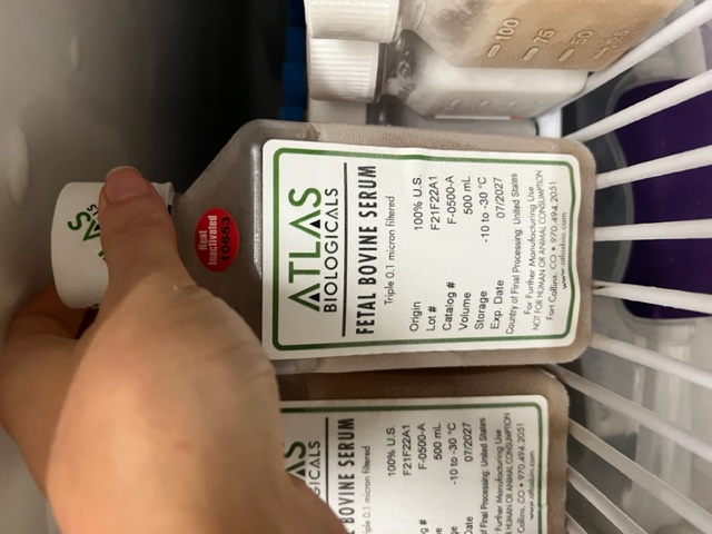 Great FBS for Cell Culture | Biocompare.com Kit/Reagent Review
