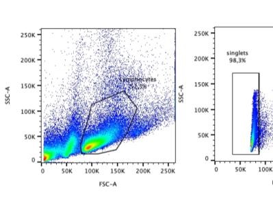 Good Anti-Mouse B220 PE from Miltenyi Biotec | Biocompare Antibody Review