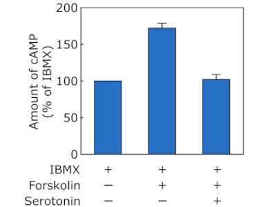 cAMP Gi HTRF Kit for Assaying Gi-coupled GPCR Signaling From Cisbio ...
