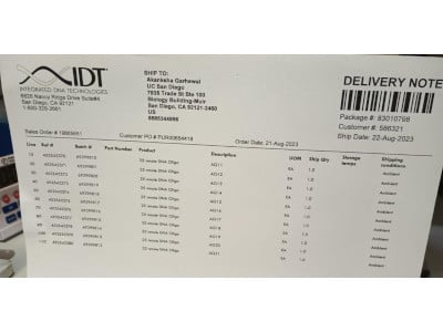 Oligos for CRISPR Technology From IDT | Biocompare Antibody Review