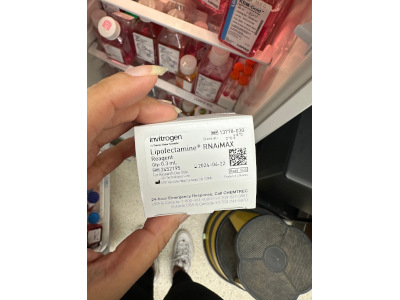 Ideal Transfection Reagent From Thermo Fisher | Biocompare.com Kit ...