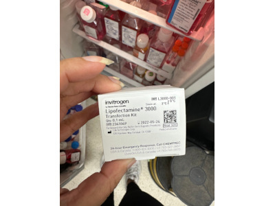 Transfection Reagent From Thermo Fisher Gives Great Results ...