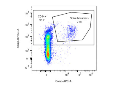 Reliable CD44 Antibody for the Flow Cytometric Identification of ...