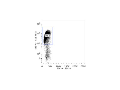 Good CD5 Antibody for T- Cells Detection | Biocompare Antibody Review