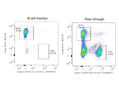 Excellent B Cell Purification With the Kit From Miltenyi Biotec ...
