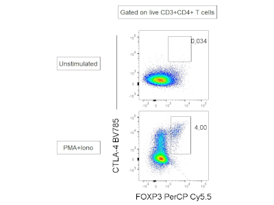 Bright and Robust Anti-Human CTLA-4 Staining | Biocompare Antibody Review