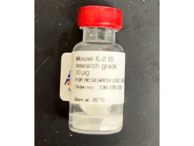 Nice Mouse IL-2 IS From Miltenyi Biotec for T-Cell Activation ...