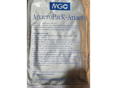 Efficient and Convenient Gas Pack for Quick Removal of Oxygen ...