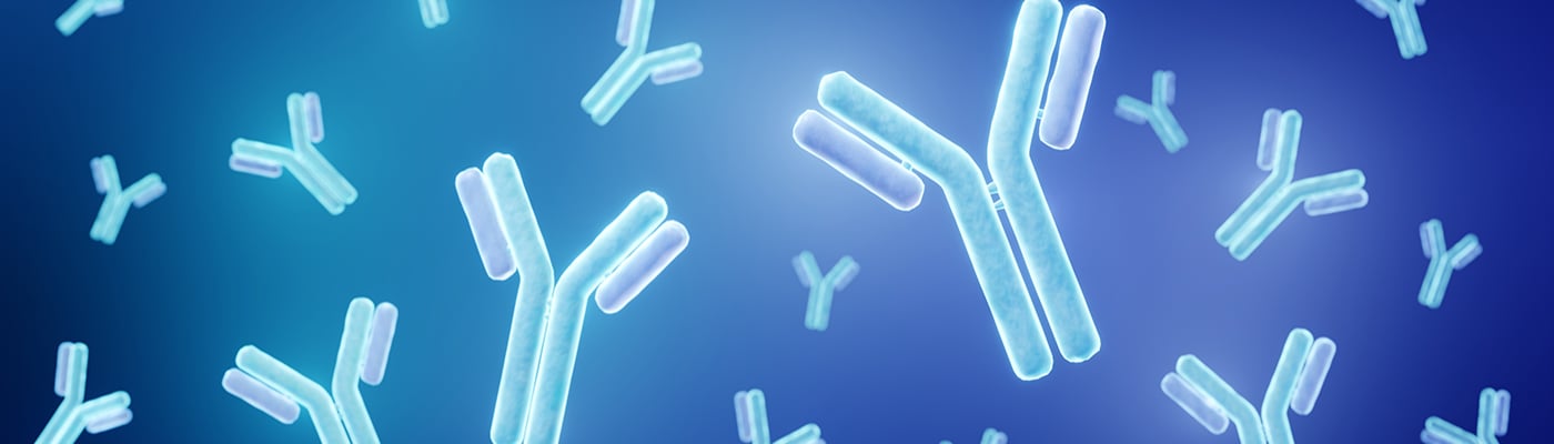 Recombinant Antibody Engineering Applications | Biocompare.com