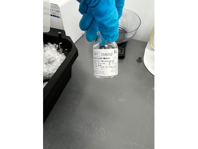 This Matrigel From Corning Life Sciences is Essential for Engraftment ...