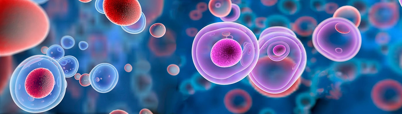 Isolating, Engineering, & Expanding Cells for Adoptive T Cell Therapies ...