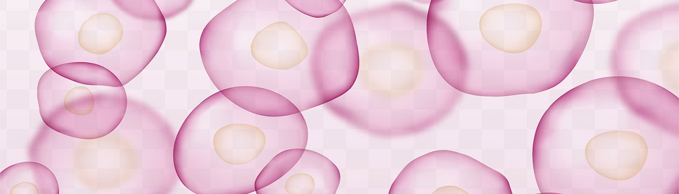 Flow Cytometry And Cell Sorting Comparison Biocompare The Buyers