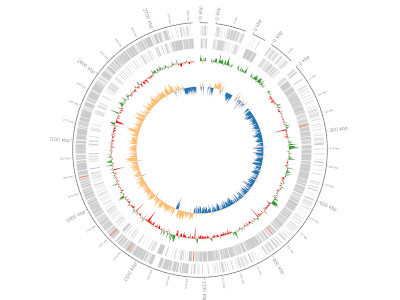 Plasmidsaurus Offers Fast, Affordable, and Efficient Whole Genome Sequencing Using Overnight ...