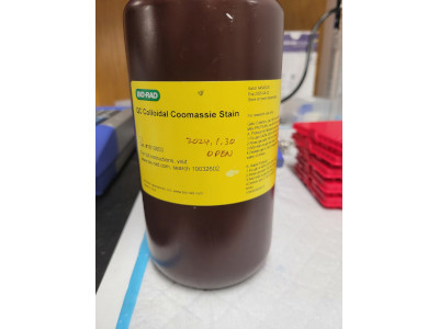 Decent Coomassie Staining Used for Visualizing Protein Quantity on SDS ...