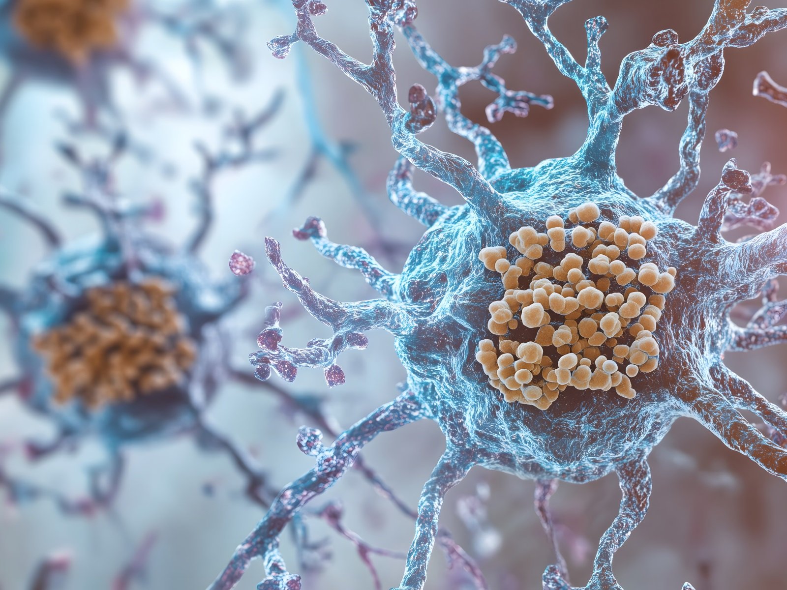 Exploring Alzheimers Like Pathology At Subcellular Resolution Using Xenium In Situ