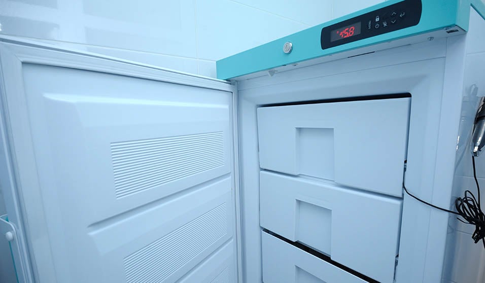 Choosing Between Upright and Chest Lab Freezers | Biocompare: The Buyer ...