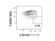 Anti-CD41 Antibody Products | Biocompare