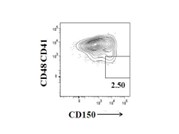 Anti-CD41 Antibody Products | Biocompare