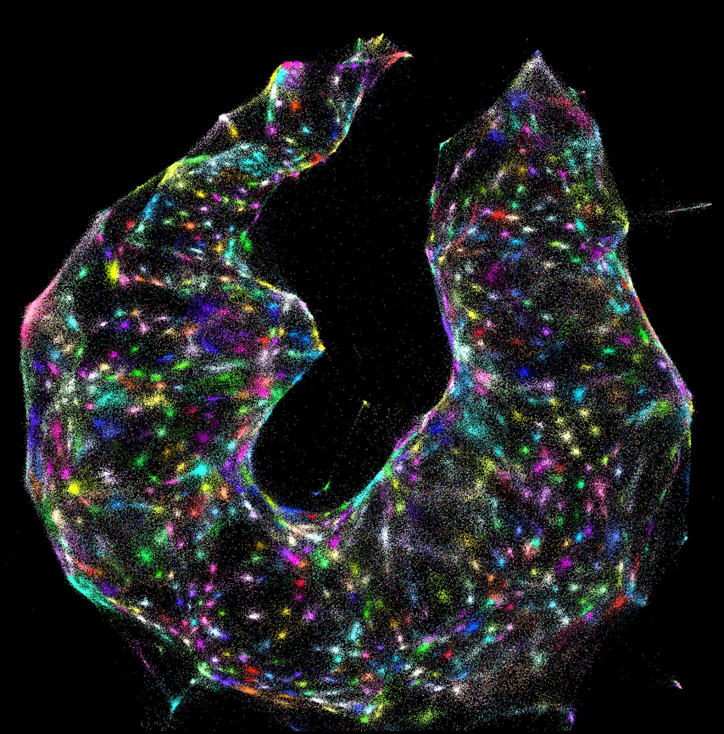 DNA Microscopy Captures More Complete Picture of Cells | Biocompare ...