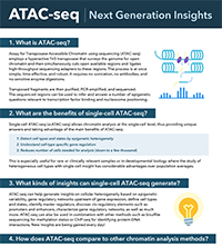 ATAC-seq—Next Generation Insights | Biocompare: The Buyer's Guide for ...