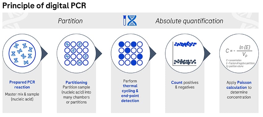 qPCR or dPCR: Choosing the Right Solution for Your Research Needs | Biocompare: The Buyer's ...