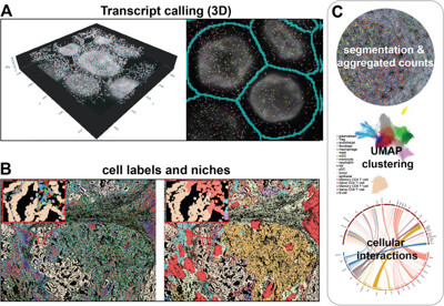 CosMx™ Spatial Molecular Imager from Bruker Spatial Biology | Biocompare.com