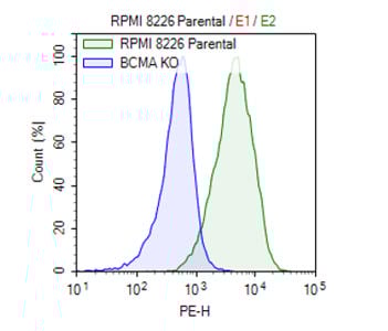Knockout Cell Lines | Biocompare