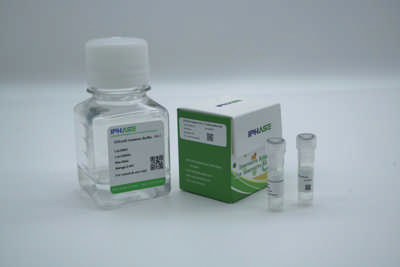 Beads-ProteinA/G from iPhase | Biocompare.com