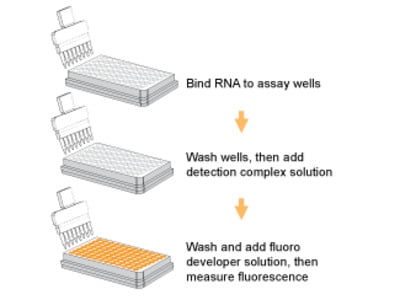 MethylFlash 5-mC RNA Methylation ELISA Easy Kit (Fluorometric) P-9009 from EpiGentek ...