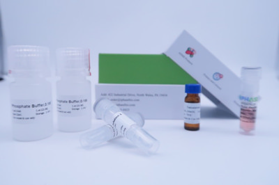 CYP450 Metabolic Phenotype Research Kit,7 inhibitor,Human Liver Microsomes,Female 0113A1.12 from ...